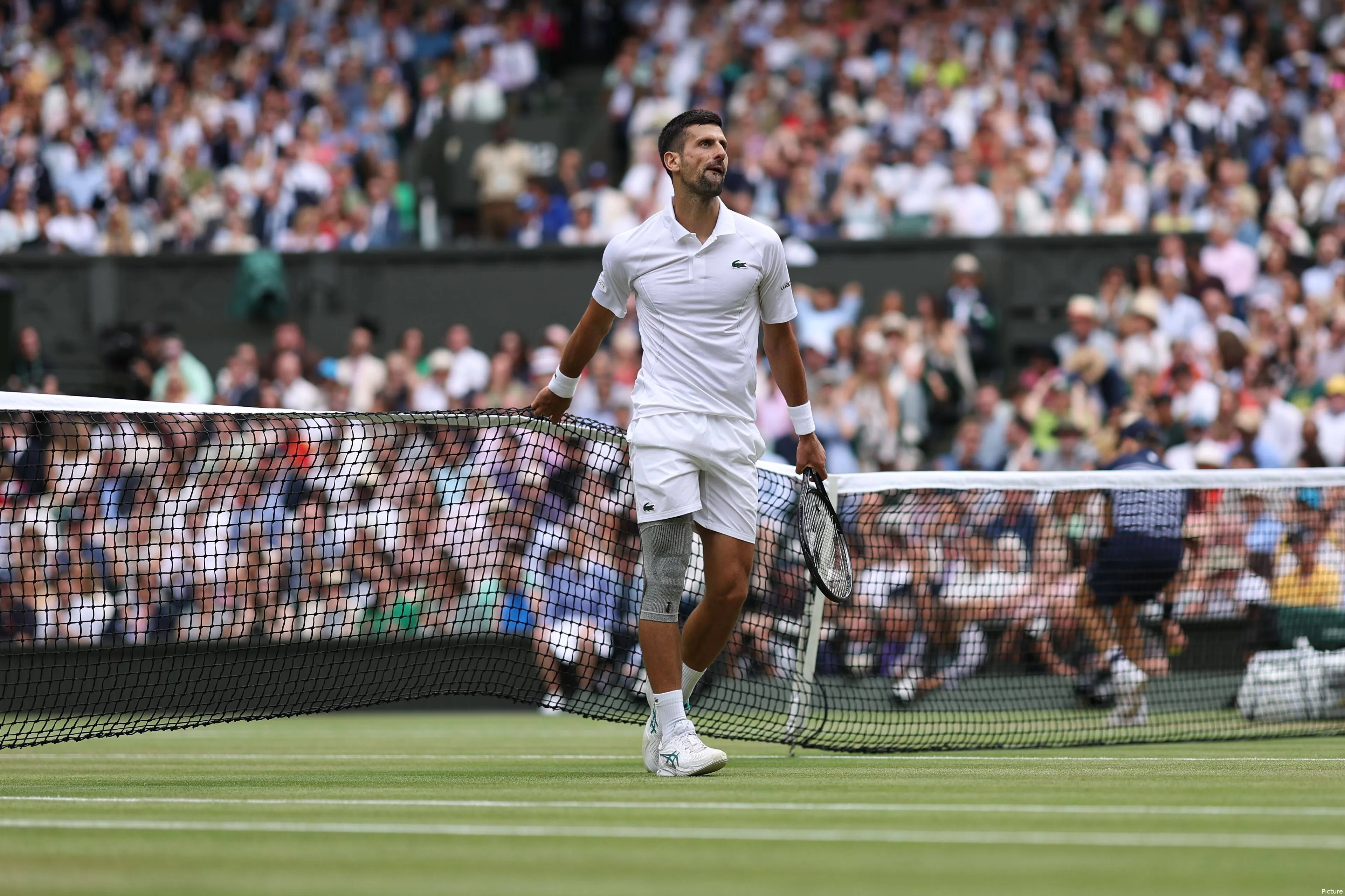 Carlos Alcaraz elogia al "superhombre" Novak Djokovic tras su triunfo en Wimbledon: "Es ...